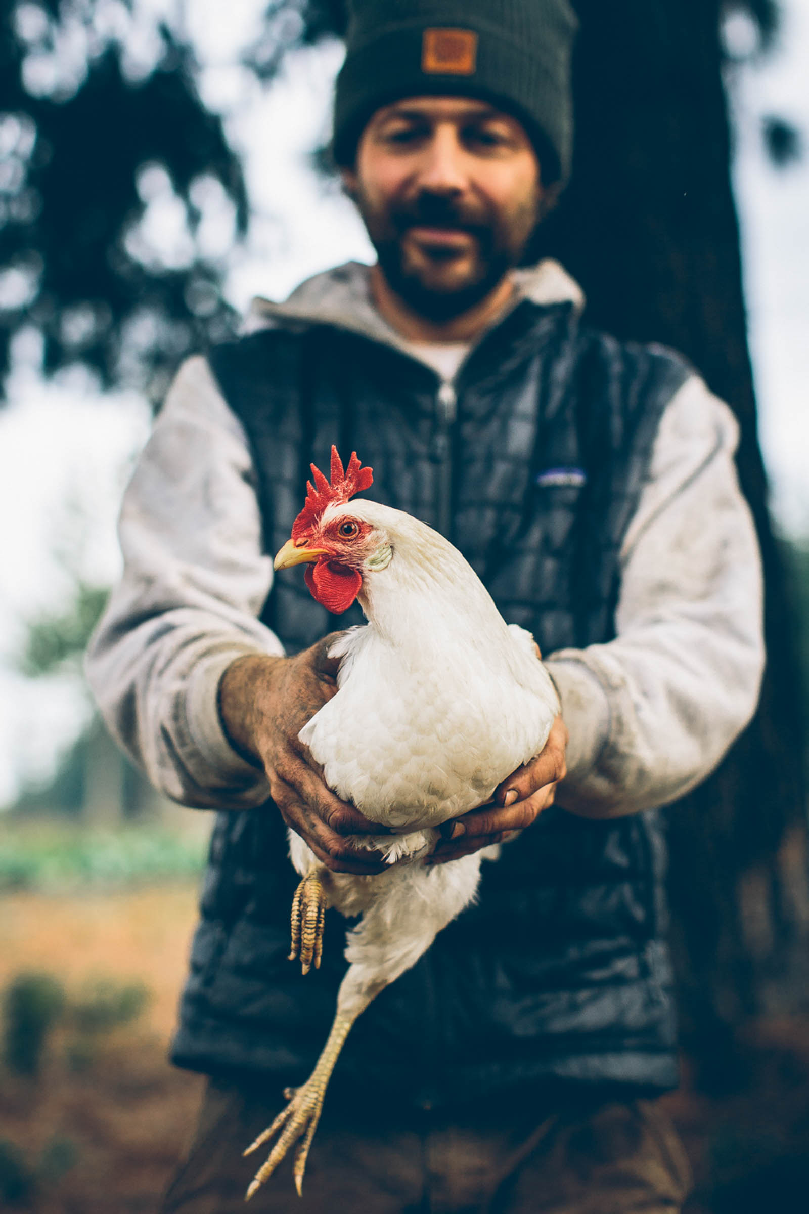 The Farm Diaries - Dishing Up the Dirt